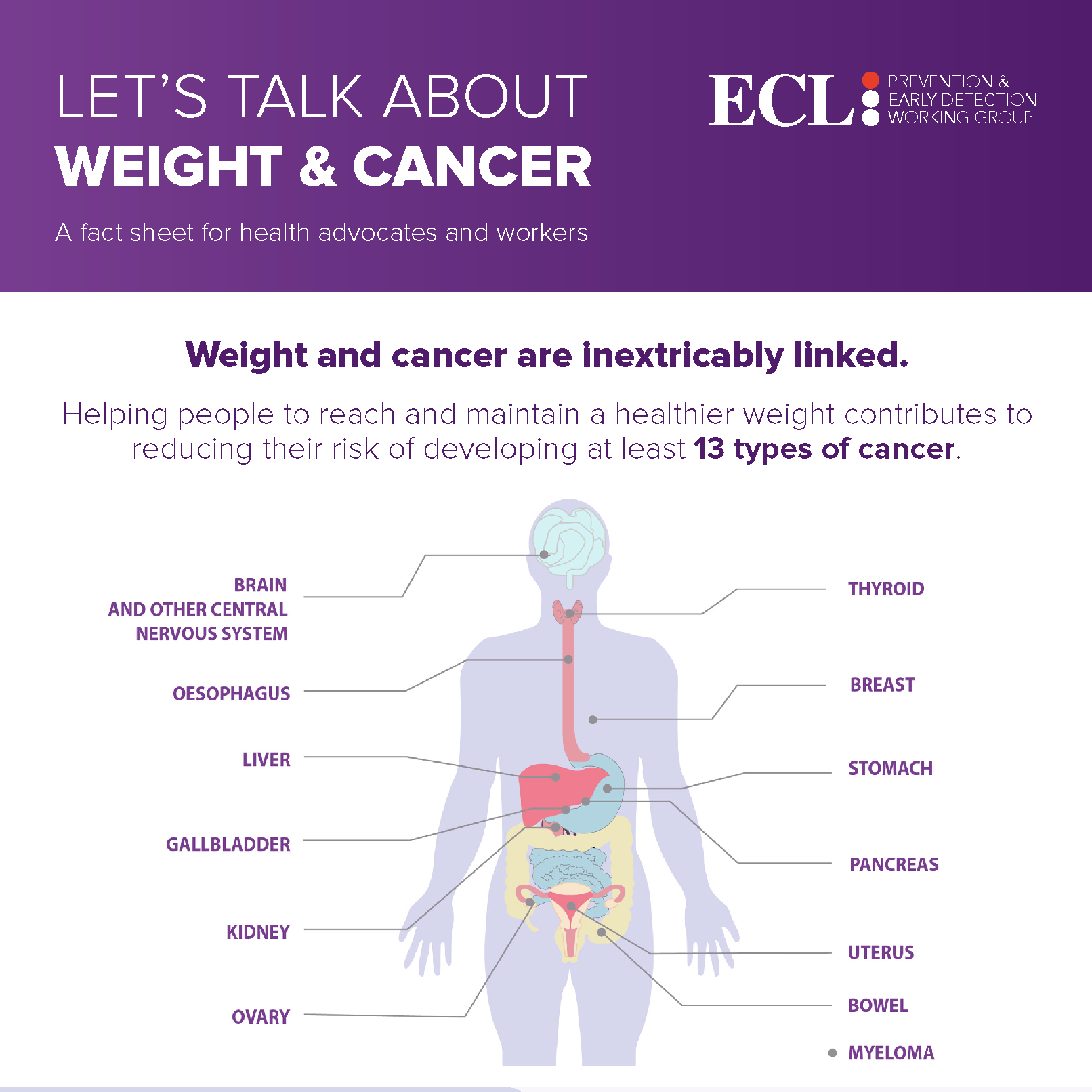 Factsheet-weight-and-cancer_square | Association of European Cancer ...